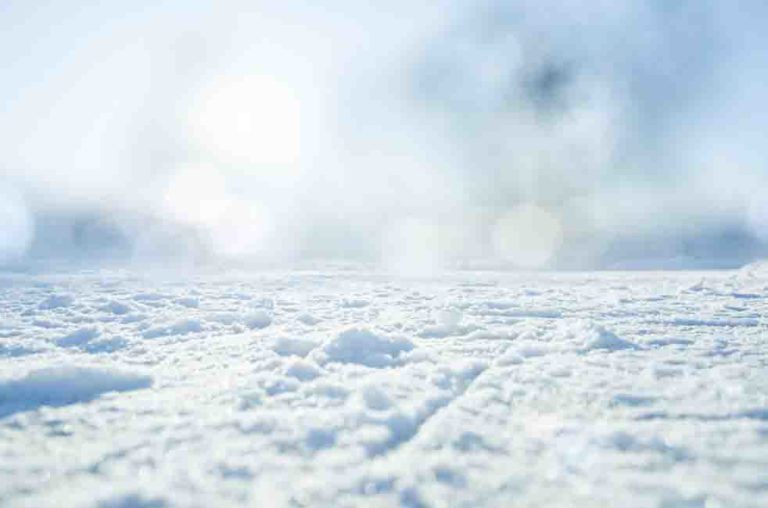 School Closed: Monday, January 26 - The Roxbury Latin School